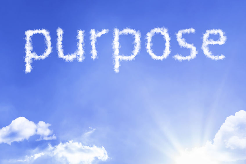 Employee Engagement - Alive At Work | Joe Contrera