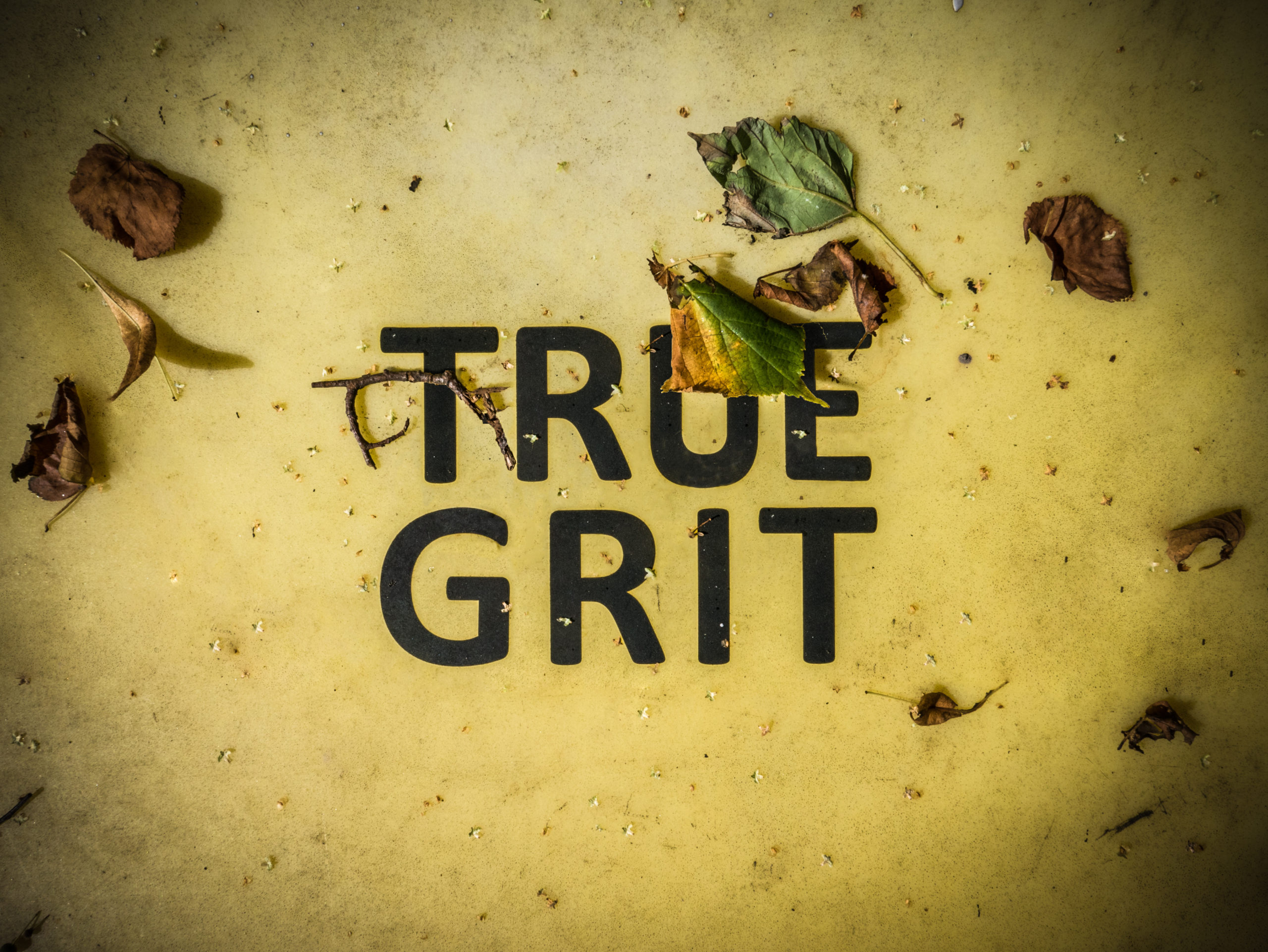 Do You Have Grit? True Grit? - Alive At Work | Joe Contrera