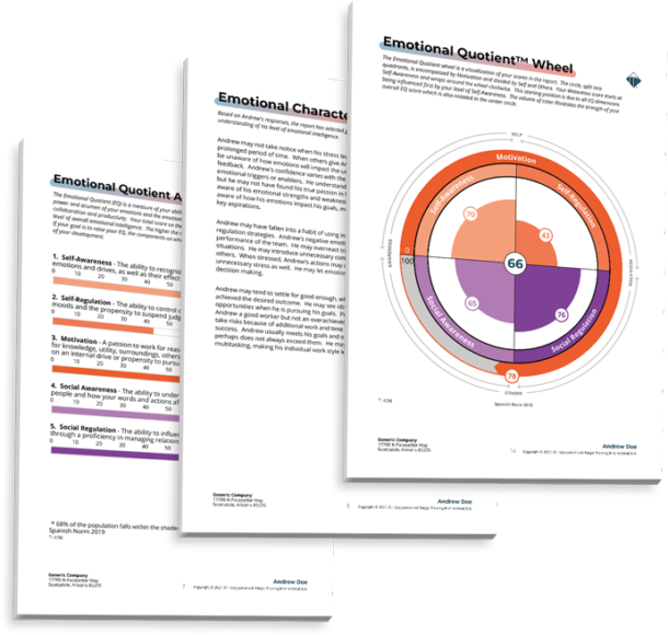EQ – Emotional Intelligence Assessment - Alive At Work | Joe Contrera
